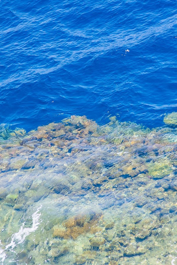 Red Sea Coral Reef with Hard Corals through Clean Water Stock Photo ...