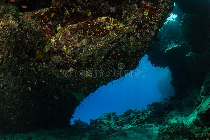 Red sea reef cave entrance stock image. Image of diving - 220902075