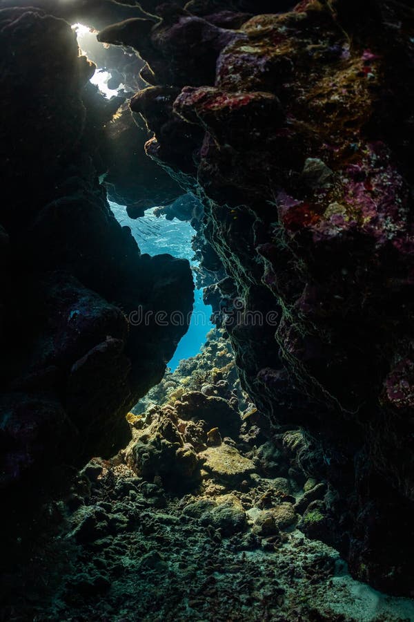 Red sea reef cave entrance stock image. Image of adventure - 220902425