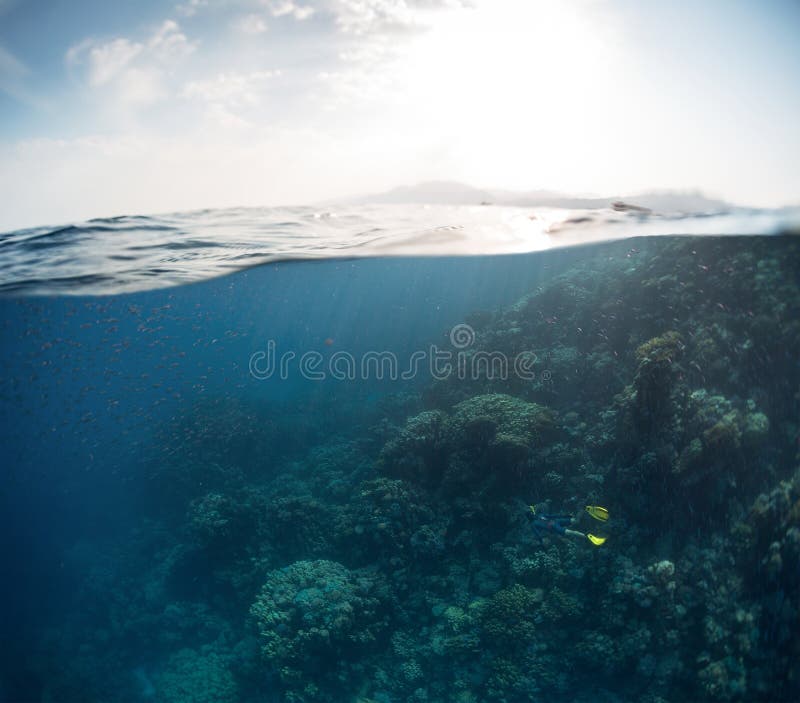 Split Shot of Tropical Island and Coral Reef Stock Photo - Image of ...