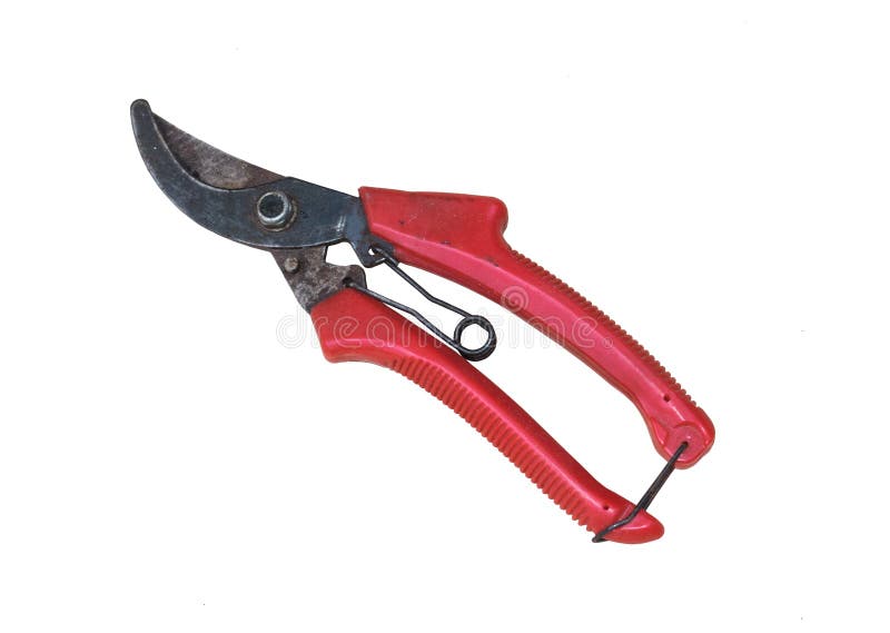 Red secateurs stock photo. Image of limb, secateurs, equipment - 47775988