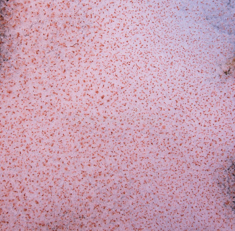 Red Sediment Layer on Snow stock image. Image of white - 89339181