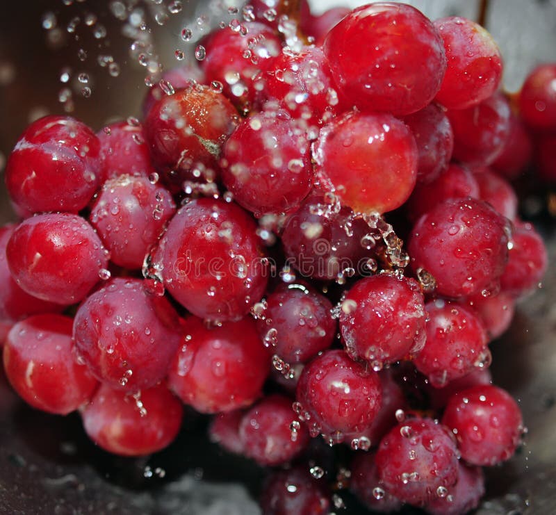 Red Seedless Grapes stock photo. Image of water, seedless - 10589990