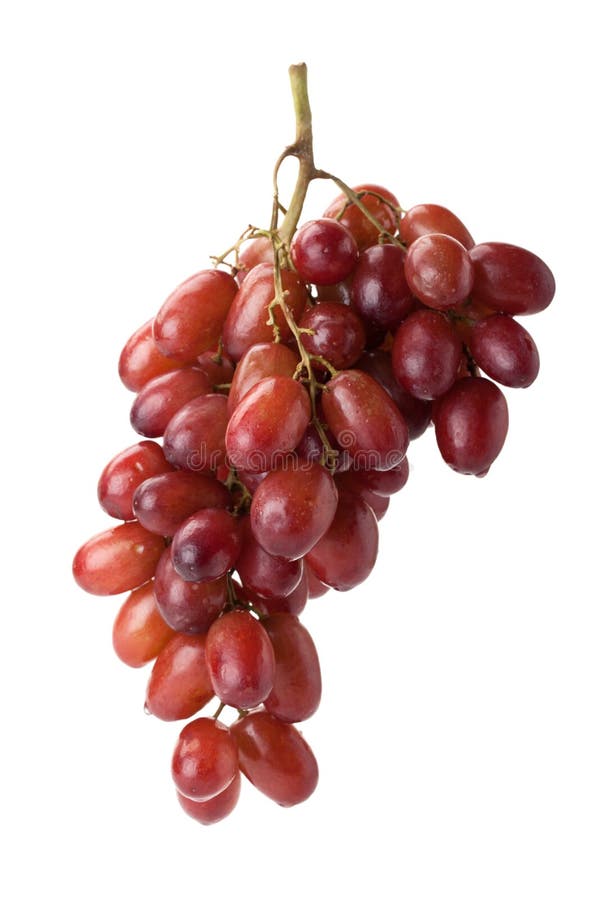 Red seedless table grapes stock image. Image of grape - 82531227