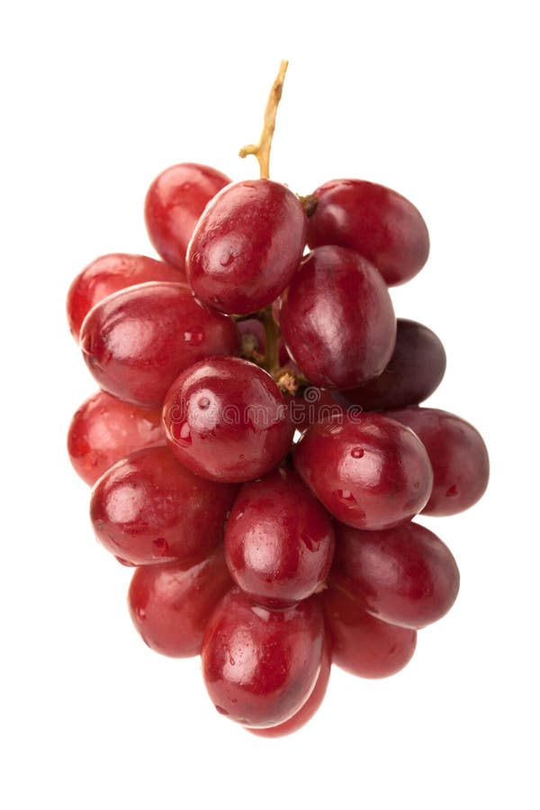 Red seedless table grapes stock image. Image of grape - 82531227