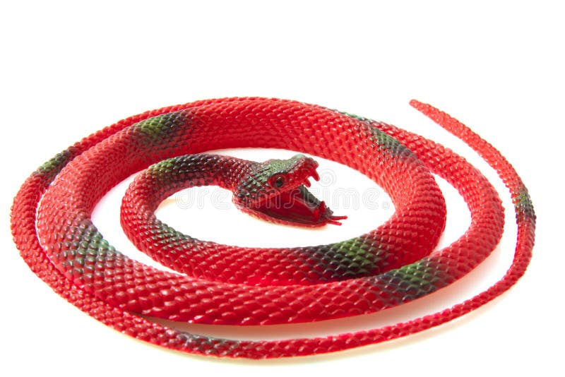 Red Serpentine stock photo. Image of copy, constrictor - 20281074