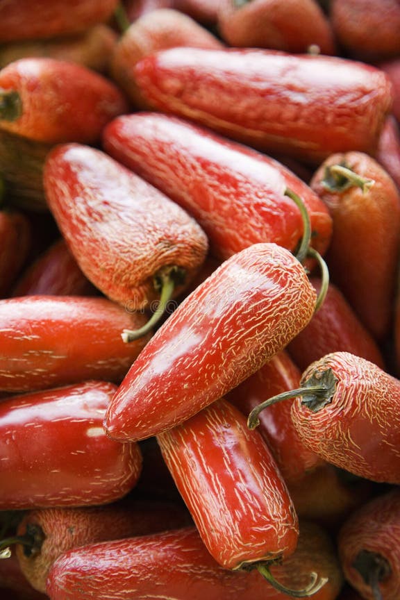 Red Serrano peppers. stock photo. Image of outdoors, natural - 3615066