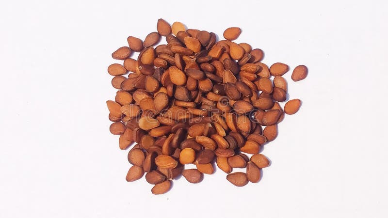 Red Sesame is Placed on Top of the White Background Stock Photo - Image ...