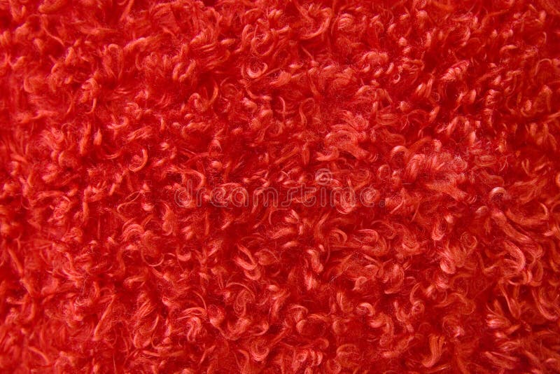 Red shag carpet texture stock image. Image of retro, curls - 3538941