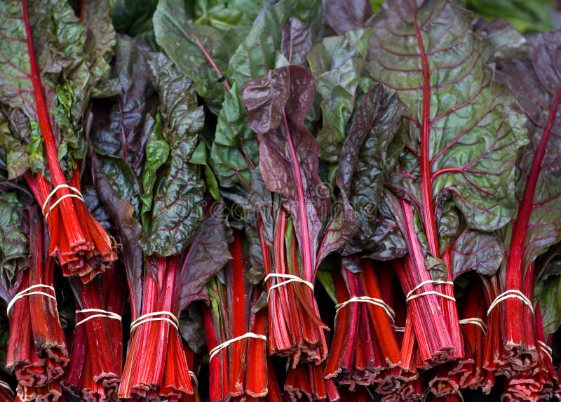 Red Shard stock image. Image of food, leafy, market, dinner - 12923919