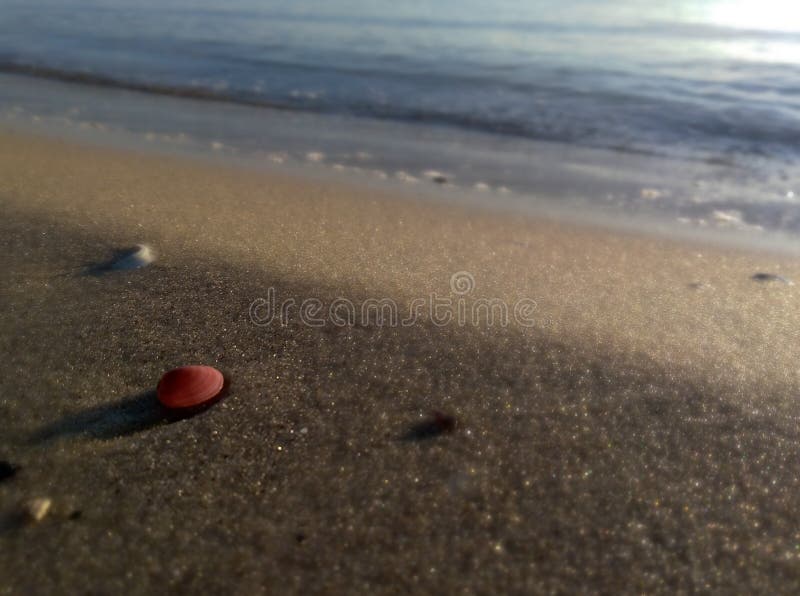 Red shell on the shore stock image. Image of outdoor - 173495717