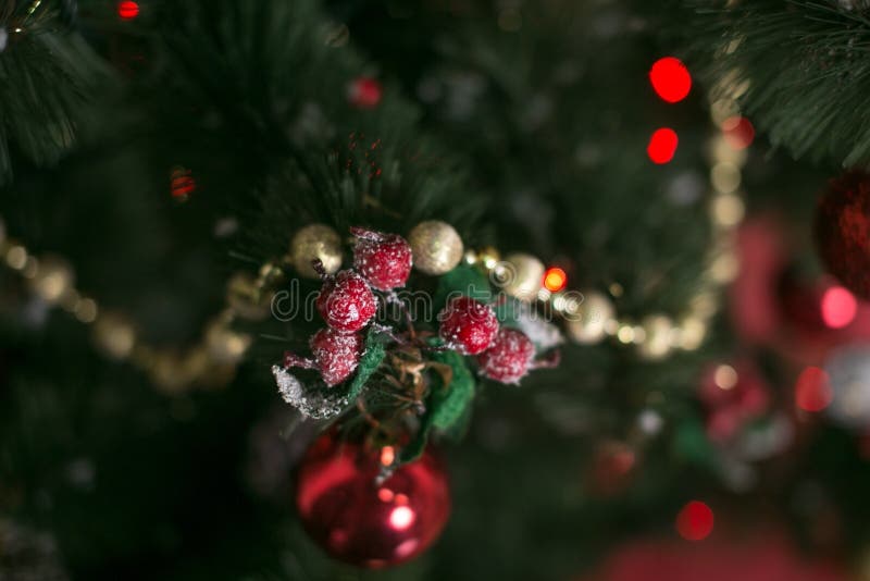 Red Shiny Toy on the Christmas Tree Stock Image - Image of garland ...