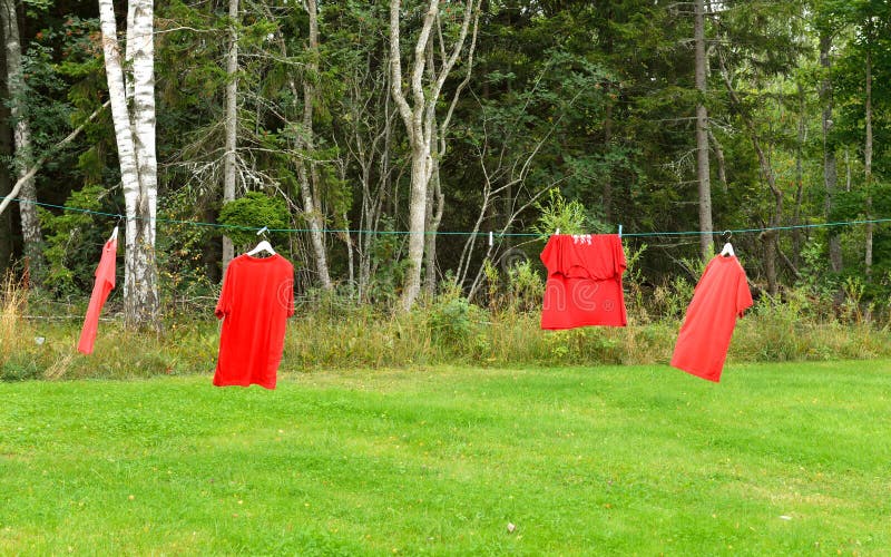 T-Shirts on a Clothesline stock photo. Image of laundry - 5271050