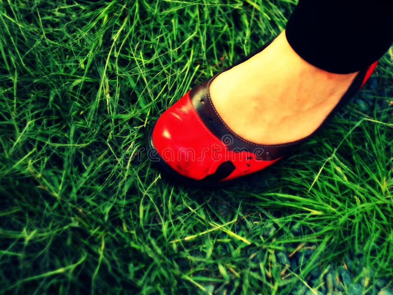 Red Shoe stock photo. Image of dancer, heeled, green - 25612724