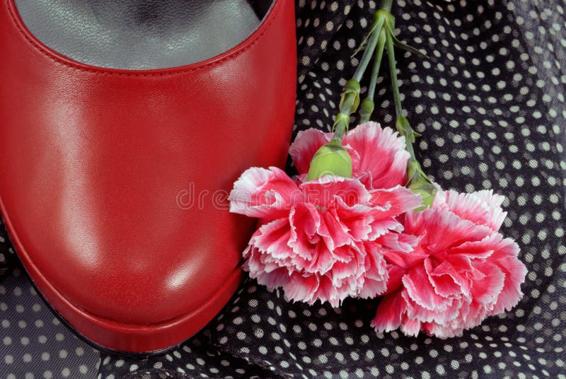 Red Shoe and Flower stock image. Image of carnations - 12829403
