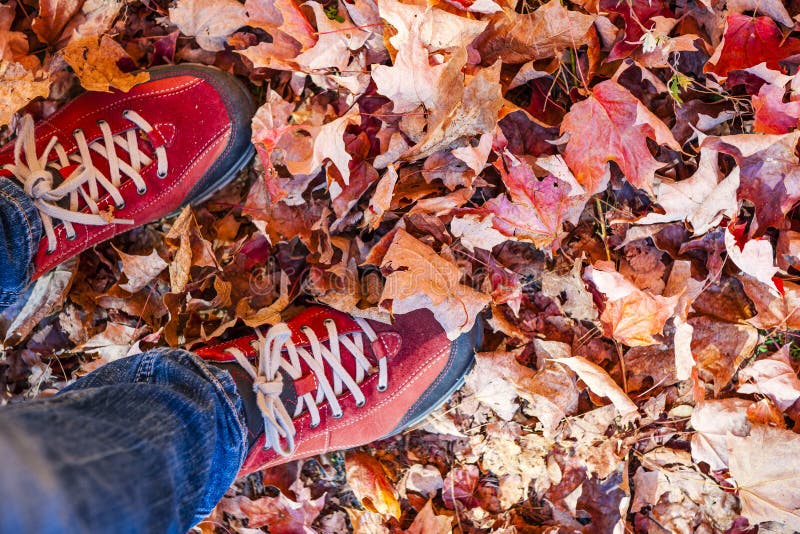 Fall Feet stock image. Image of small, people, sock, american - 5950003