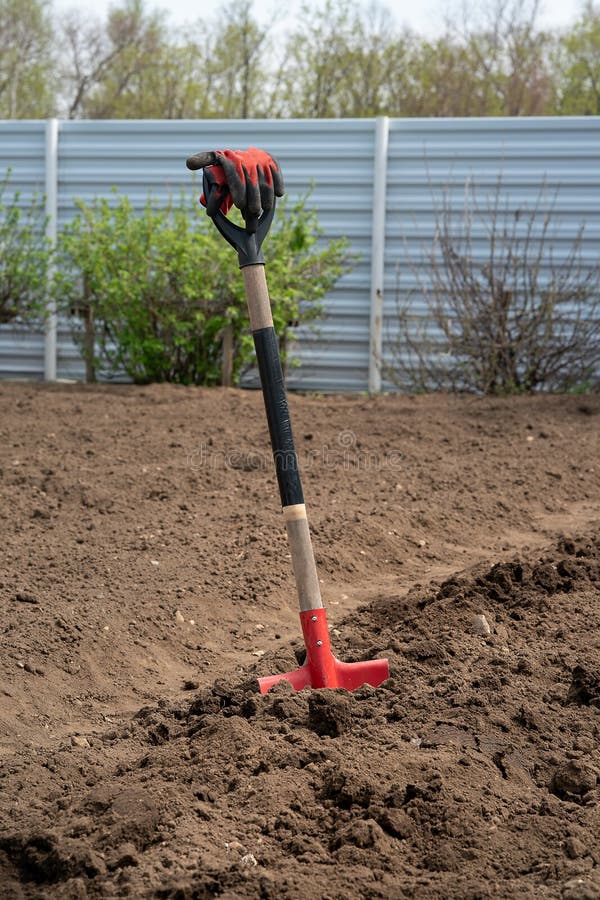 A Shovel Sticks Out in a Pile of Sand Stock Photo - Image of soil, dirt ...