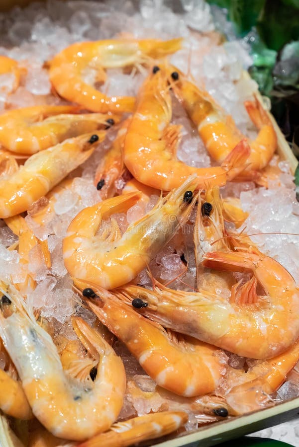 Red Shrimp stock photo. Image of choice, gilt, industry - 145761848