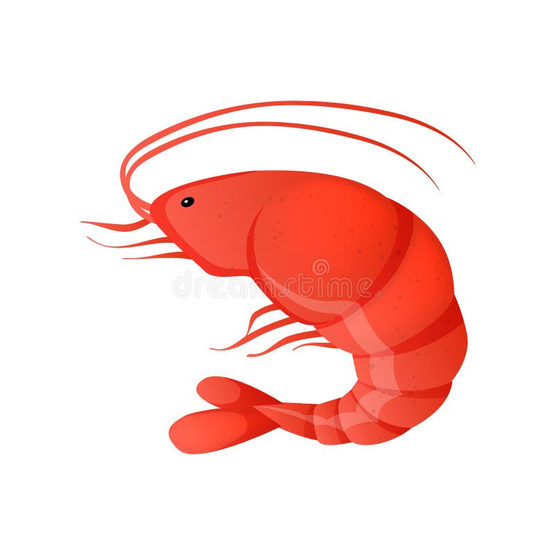Shrimp Cartoons Stock Illustrations – 46 Shrimp Cartoons Stock ...