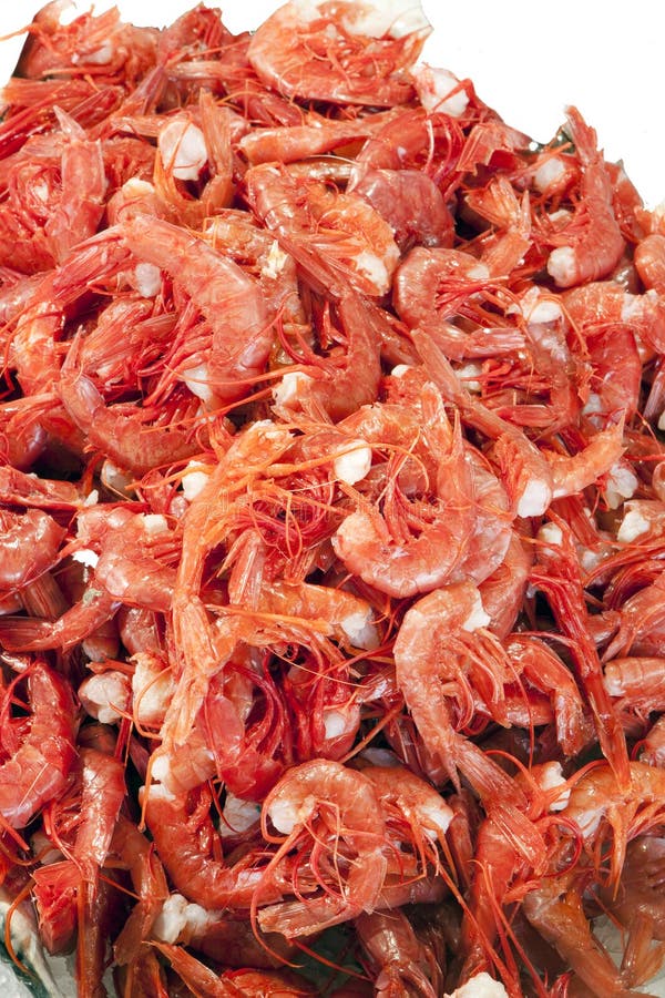 Red Shrimps stock image. Image of cooked, praws, seafood - 11610489