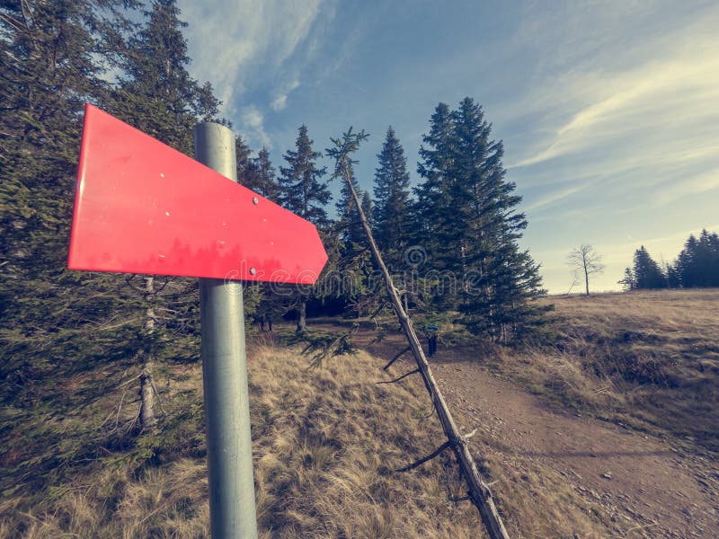Red Sign Post Pointing into a Forest. Stock Image - Image of guide ...
