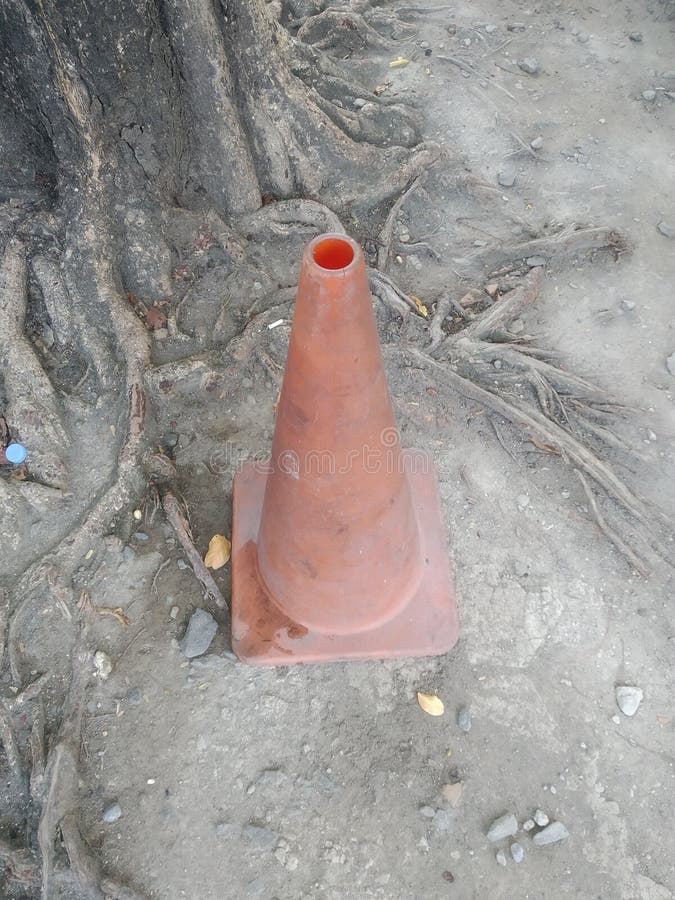 Red Sign Under the Root of Tree Stock Image - Image of tree, root ...