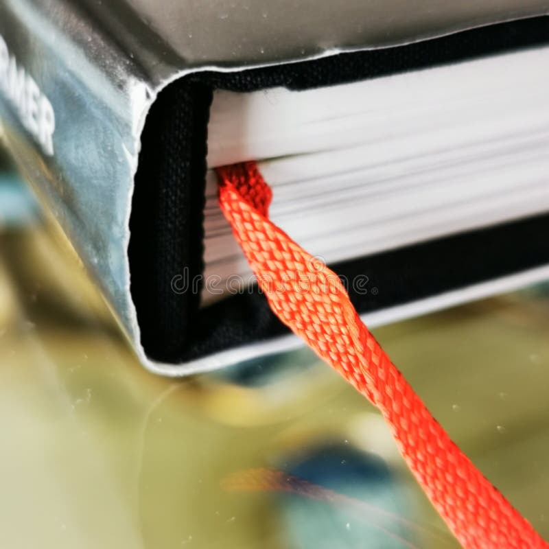 Olga Feigina (Olgafeigina) - Photos