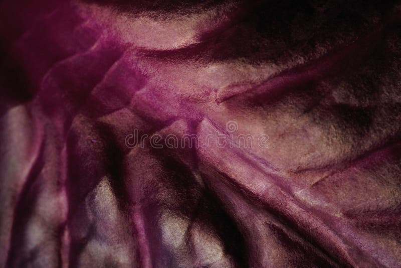 Red Single Cabbage Leaf Close Up. Stock Photo - Image of color, tasty ...