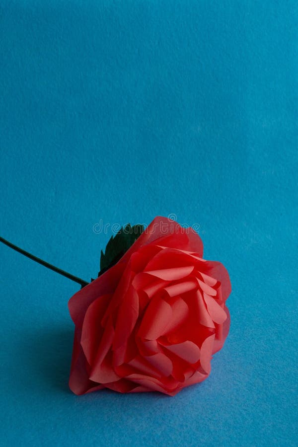 A Single Red Flower in Natural View with Tea Tree Under Sun Light As ...