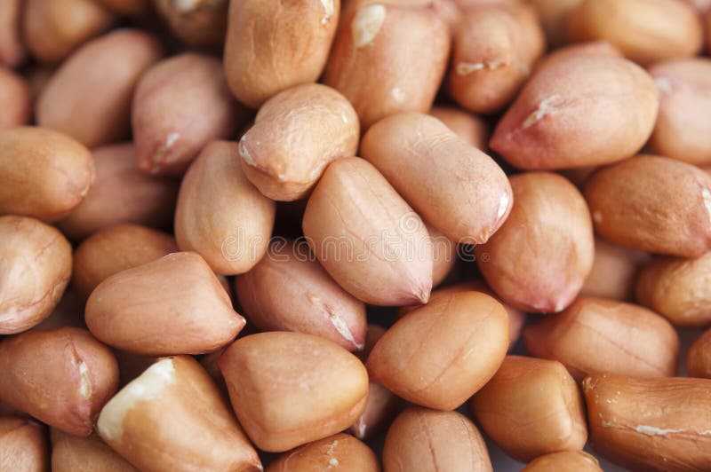 Red skin peanut stock image. Image of seed, heap, fresh - 25383433