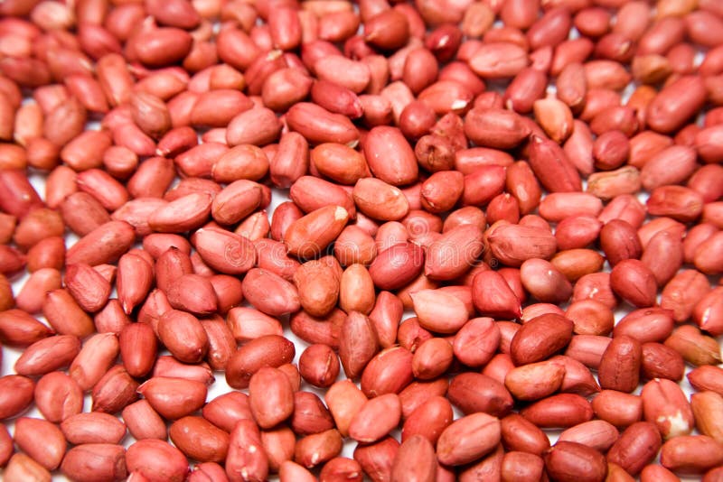 Clay Pottery stock photo. Image of market, crock, culture - 3356780