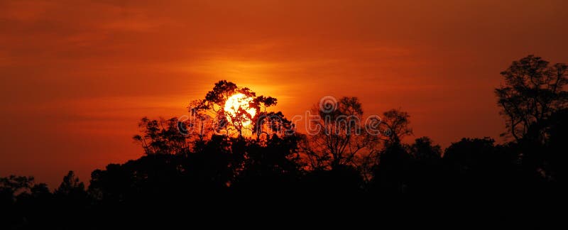 Red sky Amazon rain forest stock photo. Image of beautiful - 54460410