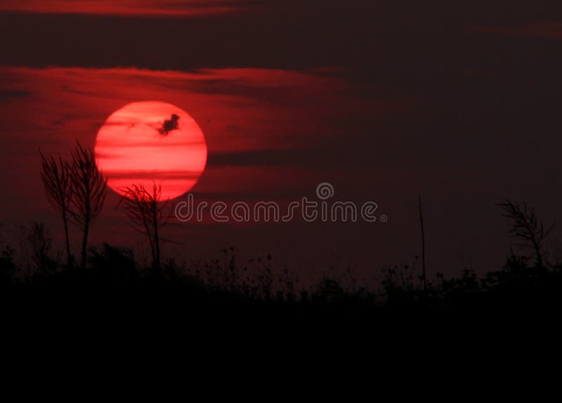 Red, Sky, Atmosphere, Phenomenon Picture. Image: 113167154