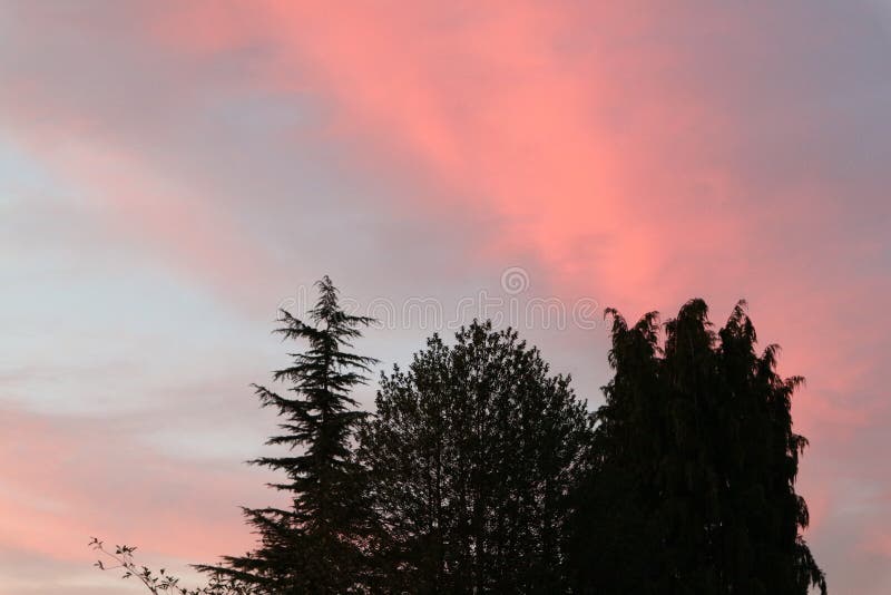 Red sky at night stock image. Image of trees, silhouettes - 123924605