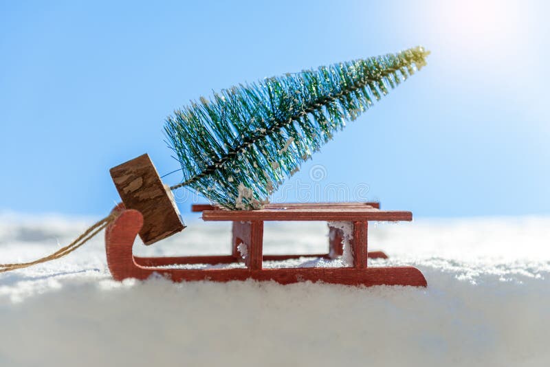Red Sled Carrying a Pine Tree Stock Photo - Image of tree, winter: 81911314