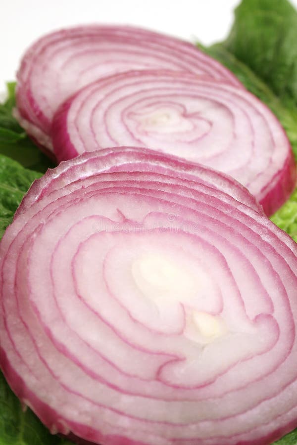 Sliced Red Onion stock image. Image of shine, stripe, salad - 1981647