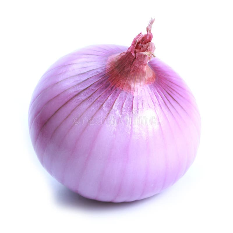 Sliced Red Onion stock photo. Image of grow, skin, flavor - 1981656