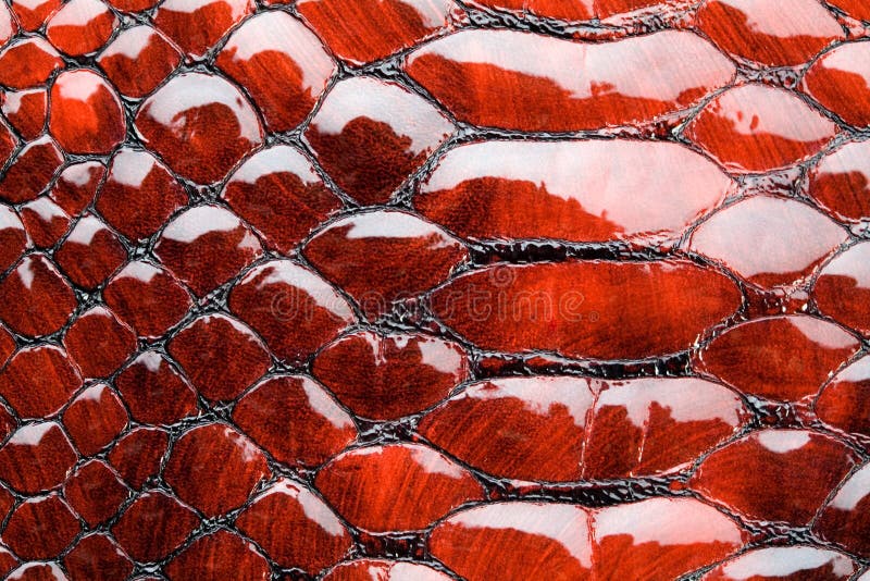 Red Snake Skin Pattern