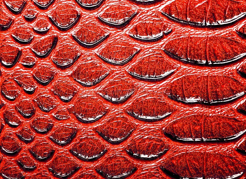 Red snake skin background stock photo. Image of close - 172328462