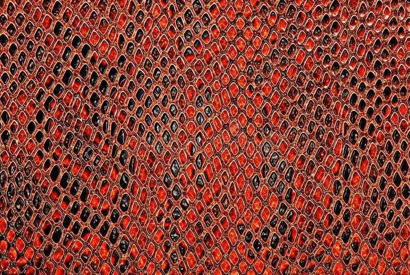 Red snake skin background stock image. Image of abstract - 172328471