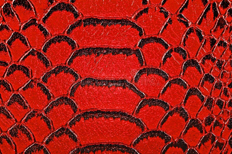 Red snake skin background stock photo. Image of crocodile - 174214654