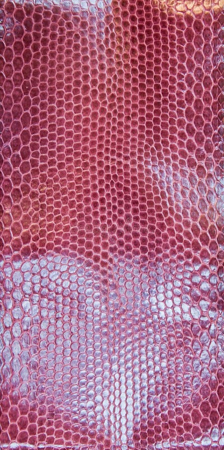 Red Snake Skin Texture stock image. Image of python, fabric - 18774853