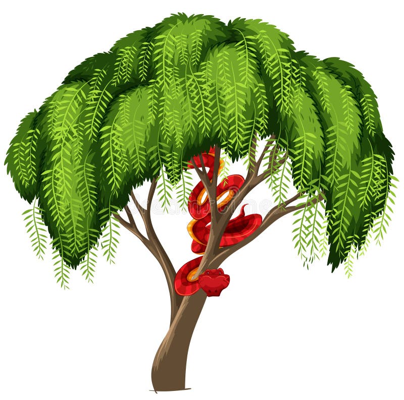 Snake Climbing Stock Illustrations – 186 Snake Climbing Stock ...