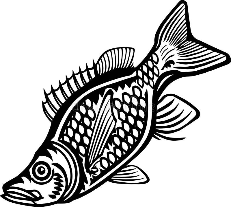 Red Snapper - American Fishes - Logo Fish Stock Illustration ...