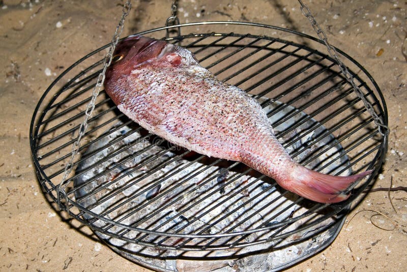 Red Snapper on a Barbecue Tripod. Stock Image - Image of nutritious ...