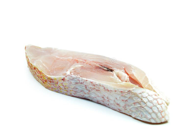 Red snapper fish fillet stock photo. Image of cold, meal - 130040040