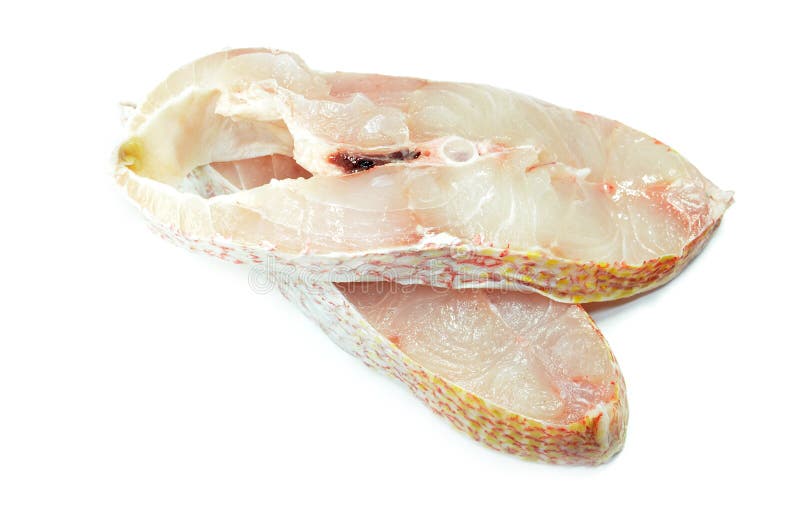 Red snapper fish fillet stock photo. Image of nature - 125065812