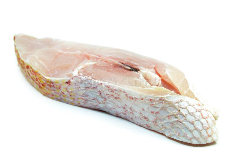 Red snapper fish fillet stock photo. Image of grouper - 127205724