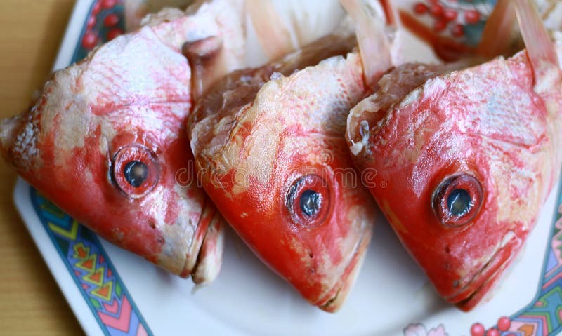 Red Snapper head stock image. Image of healthy, head - 178431149