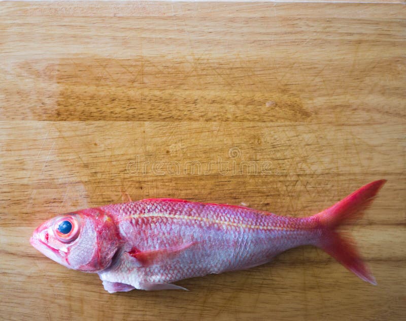 Onaga on the Bottom of a Cutting Board Stock Photo - Image of fillet ...